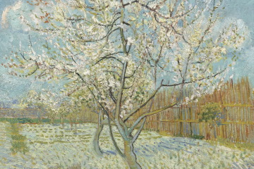 [K] The Pink Peach Tree